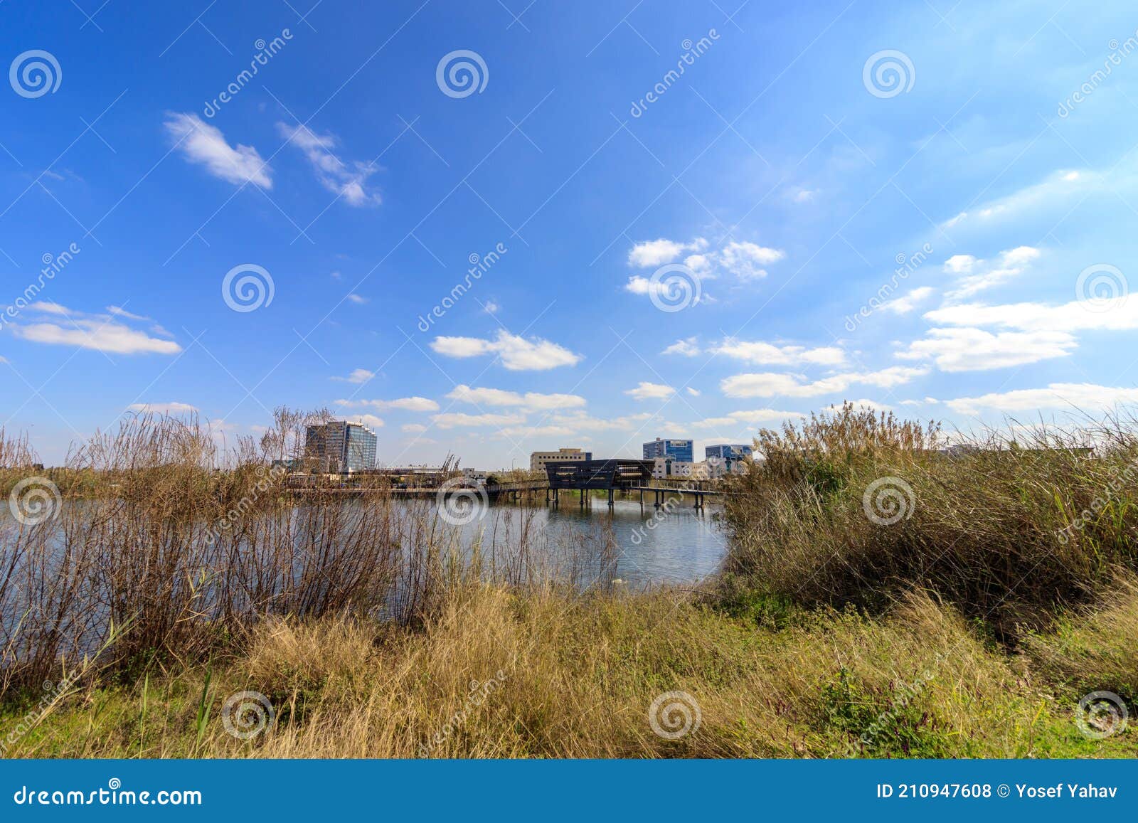 The Artificial Ecological Lake in Hod Hasharon Park, Stock Photo ...