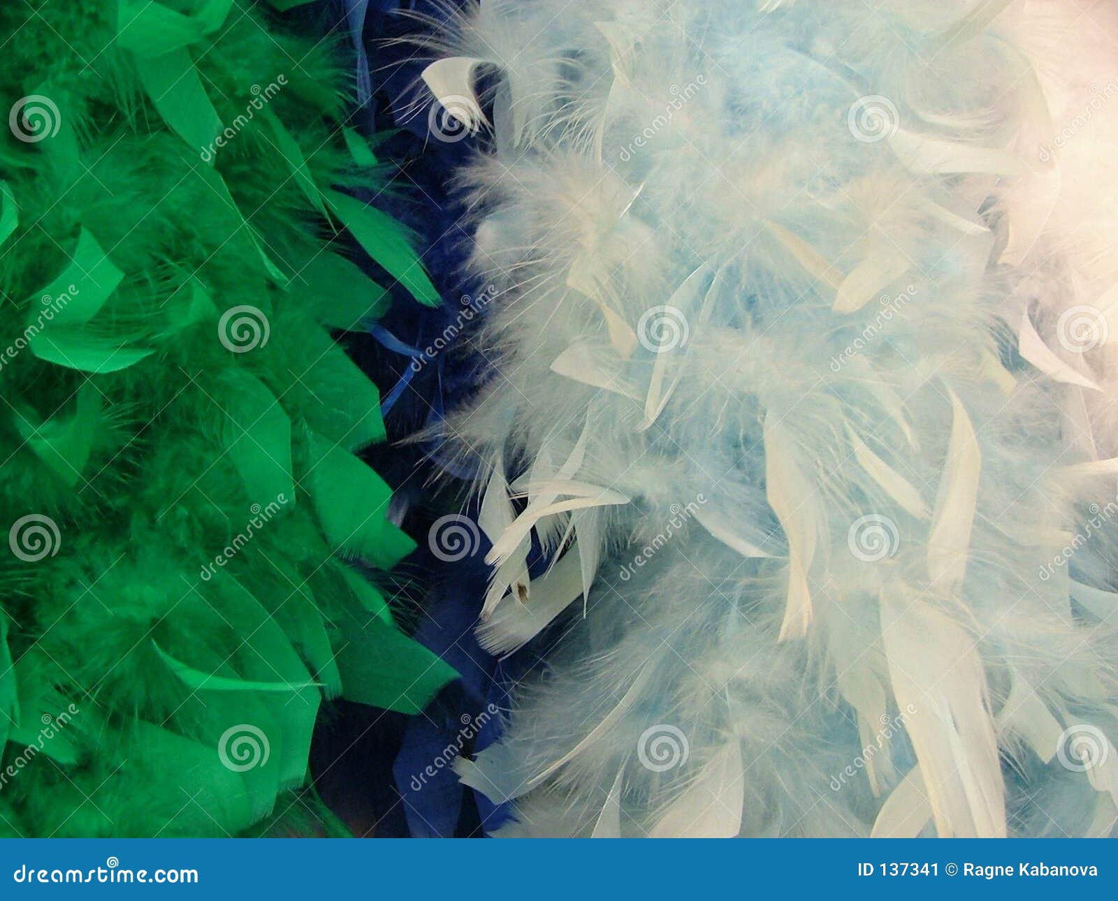 Artificial Feathers Picture. Image: 137341