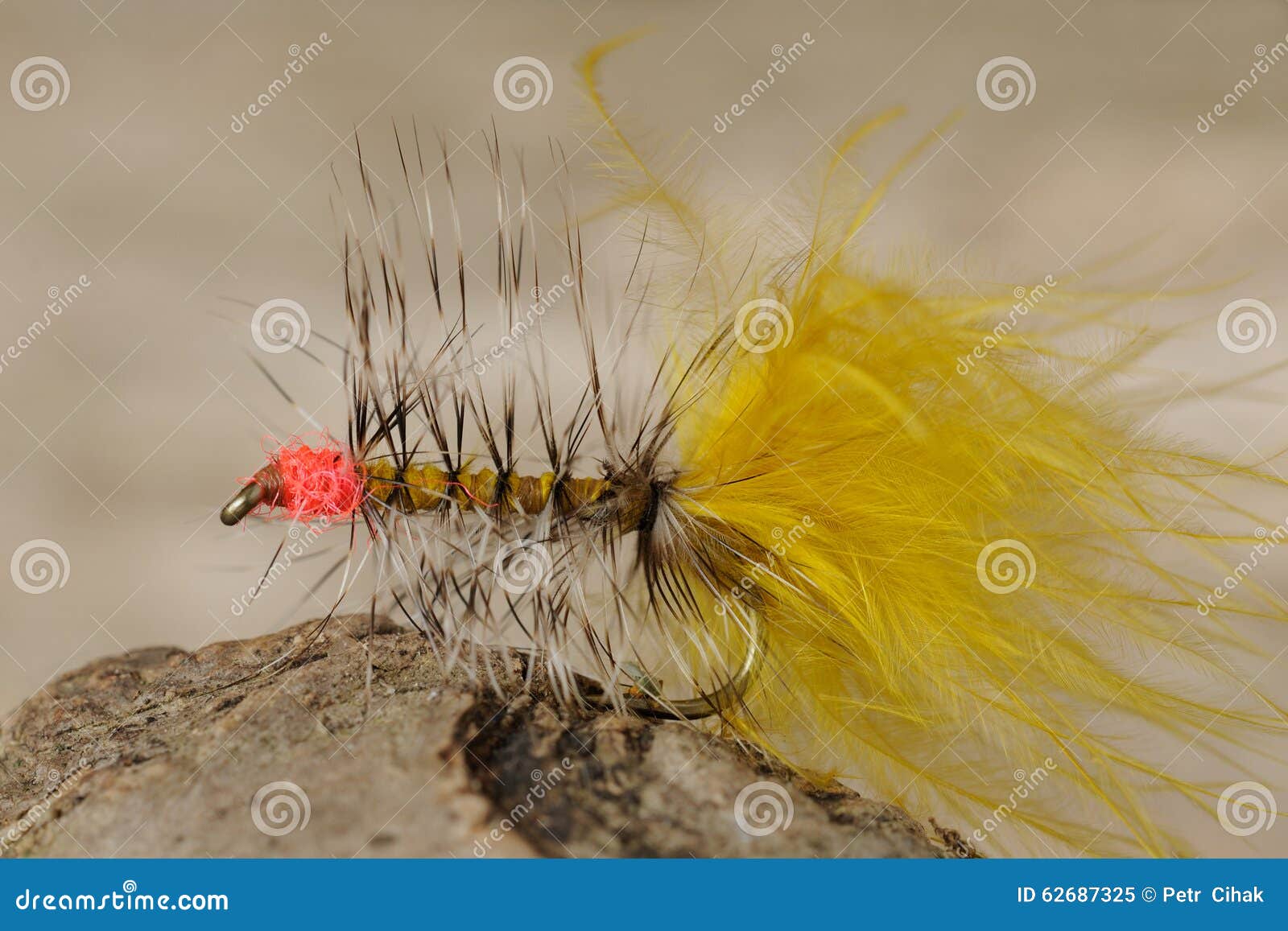Artificial fishing fly stock image. Image of closeup - 62687325