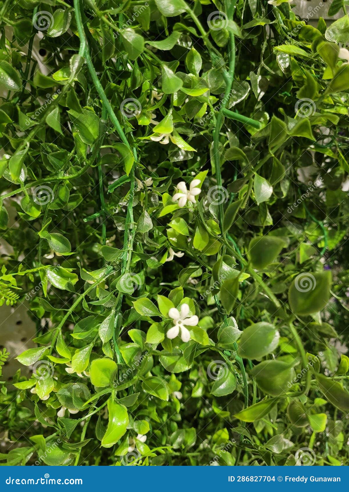Artificial garland plants stock photo. Image of produce - 286827704