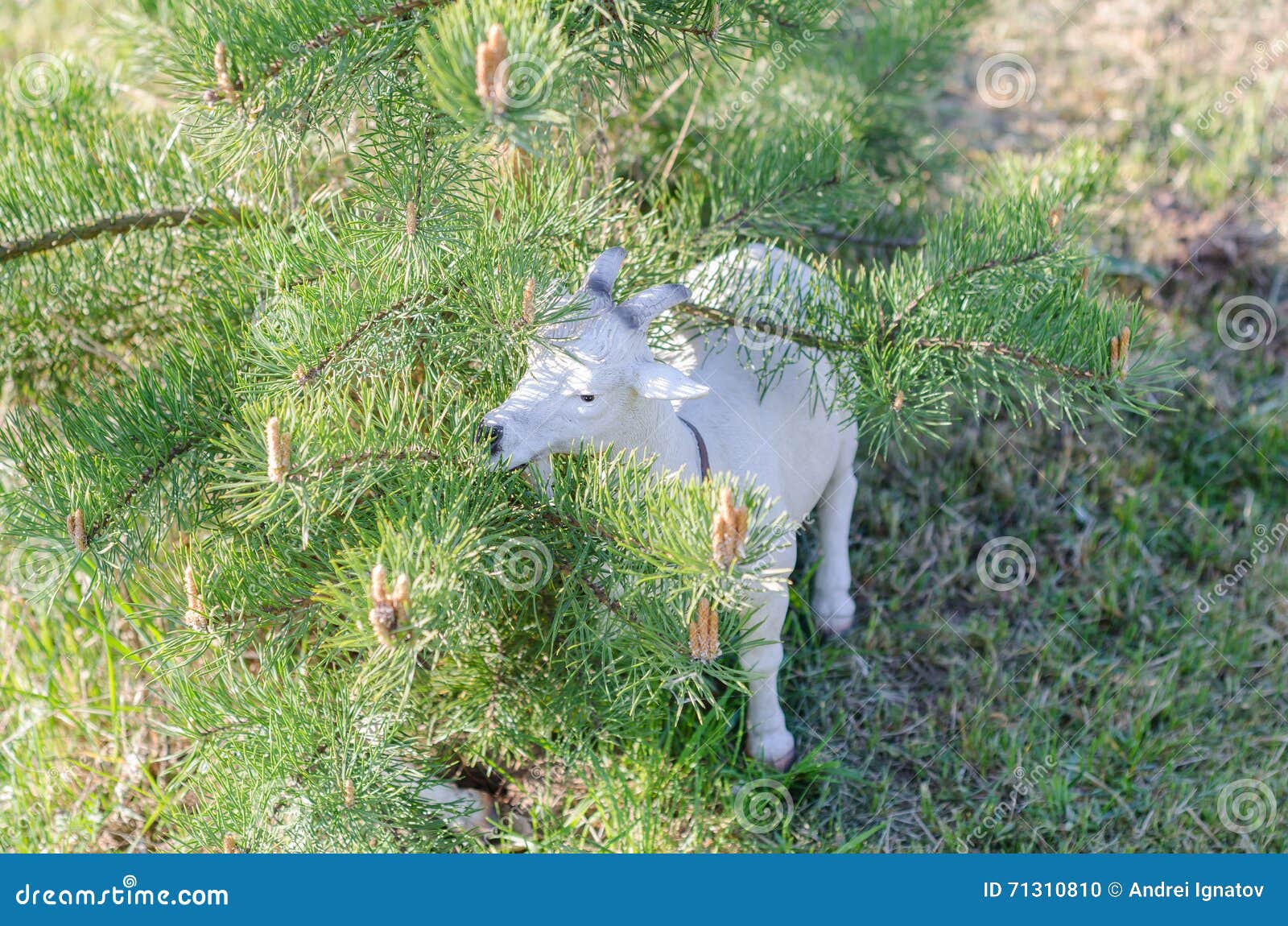 Artificial Goat Statue Near the Pine Stock Photo - Image of grass ...