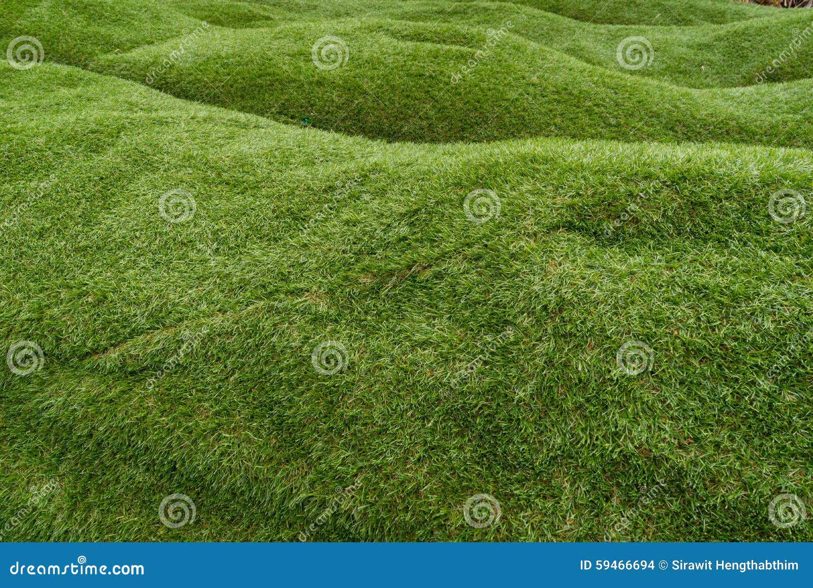 Artificial Grass Background 1 Stock Photo - Image of green, fake: 59466694