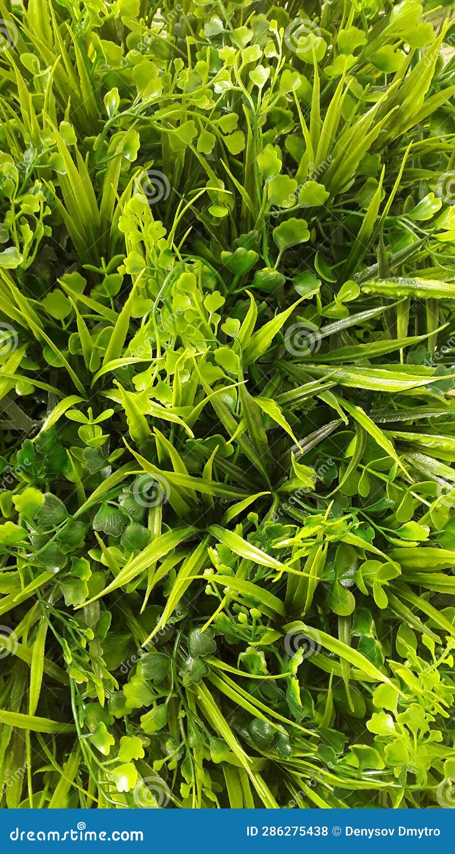 Artificial Grass. Background from Artificial Plants Stock Photo - Image ...