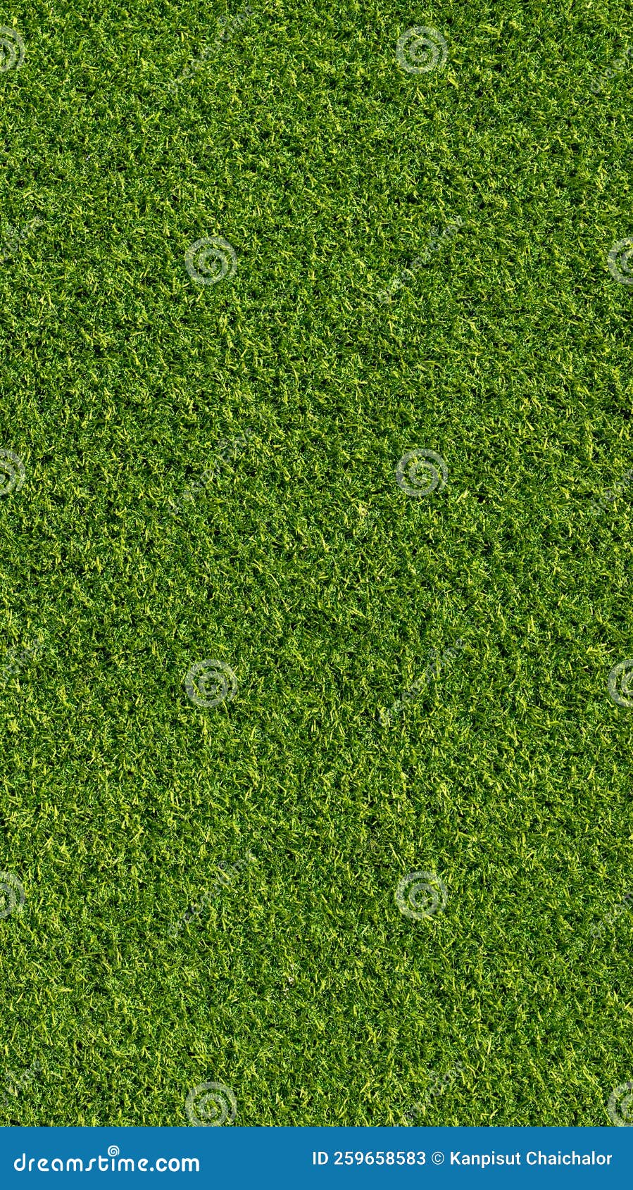 Artificial Grass Carpet Background. Artificial Grass. Green Grass ...