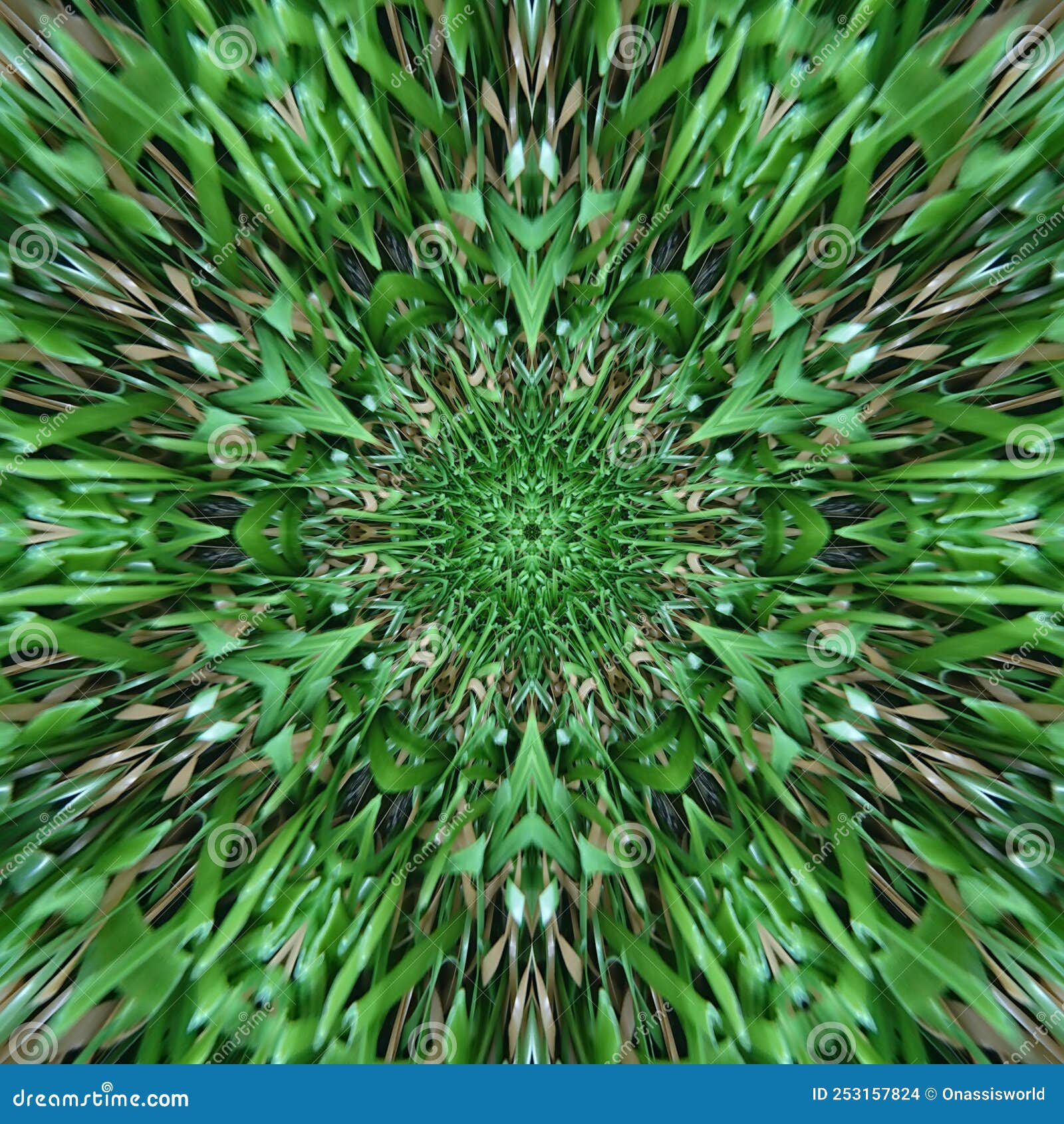 Artificial Grass Closeup Abstracts Backgrounds Stock Photo - Image of ...