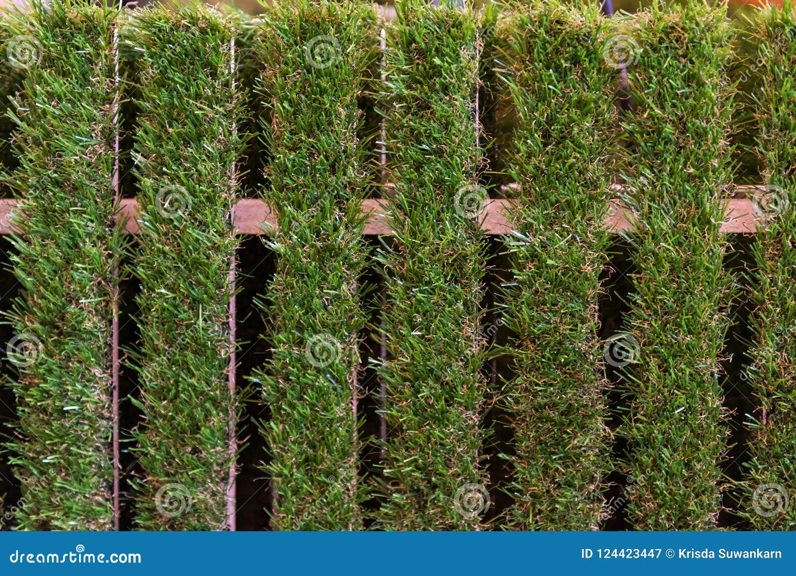Artificial grass fence stock image. Image of green, frame - 124423447