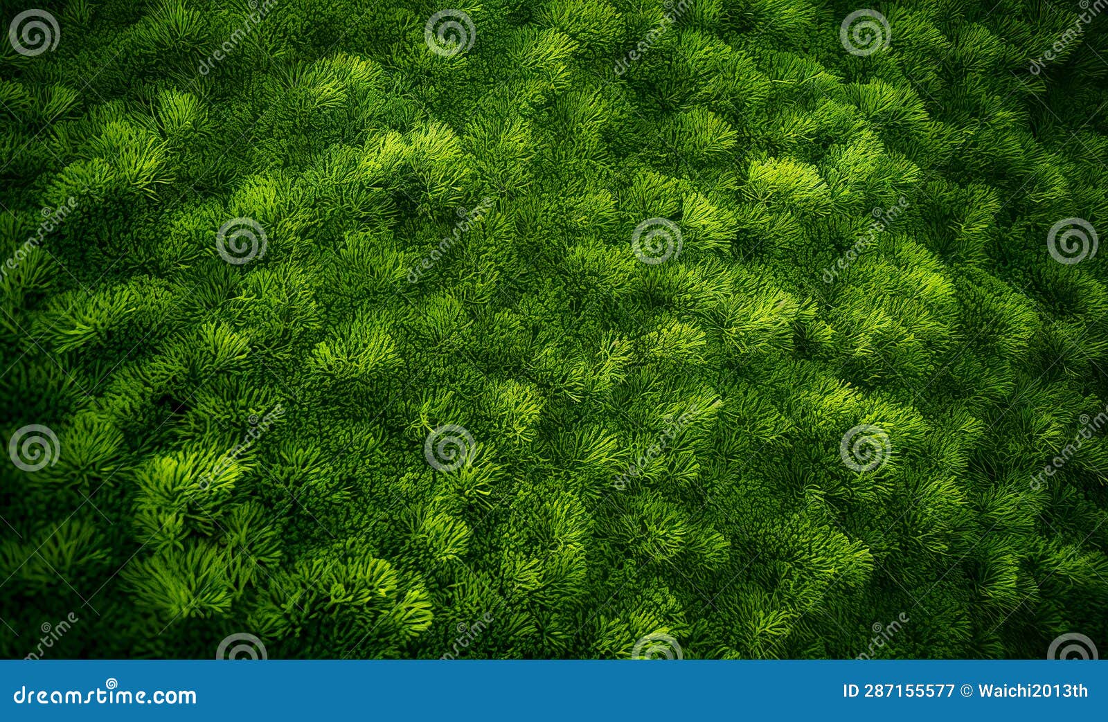 Artificial Grass Field Meadow Green. Top View Texture Stock ...