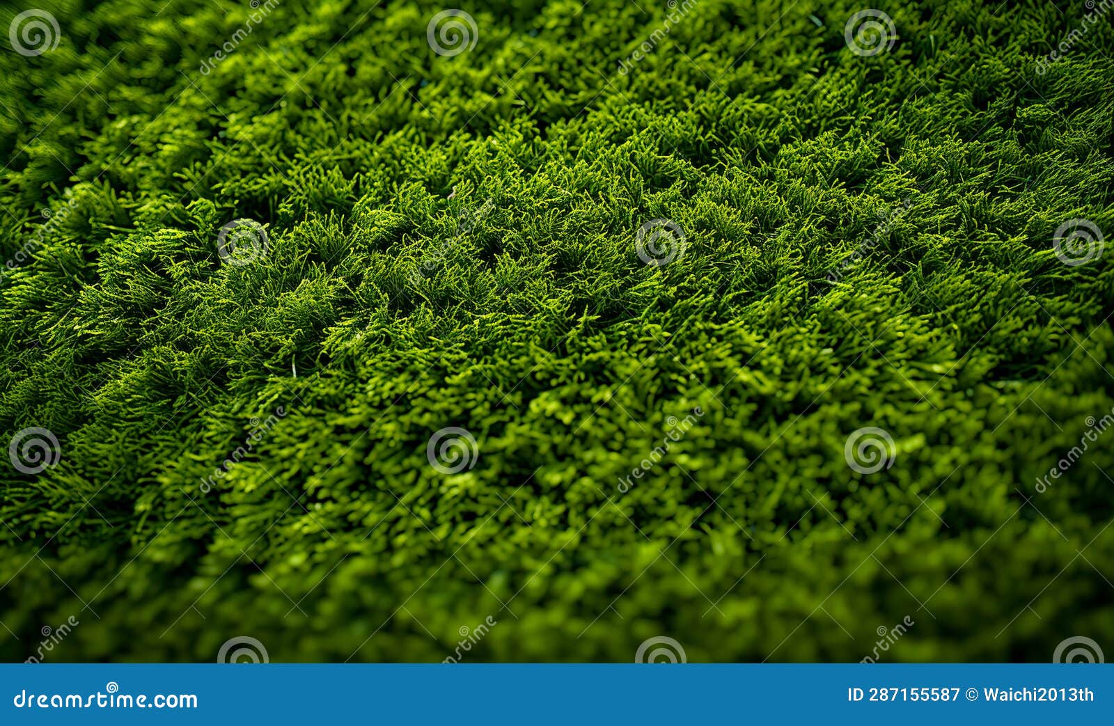 Artificial Grass Field Meadow Green. Top View Texture Stock ...