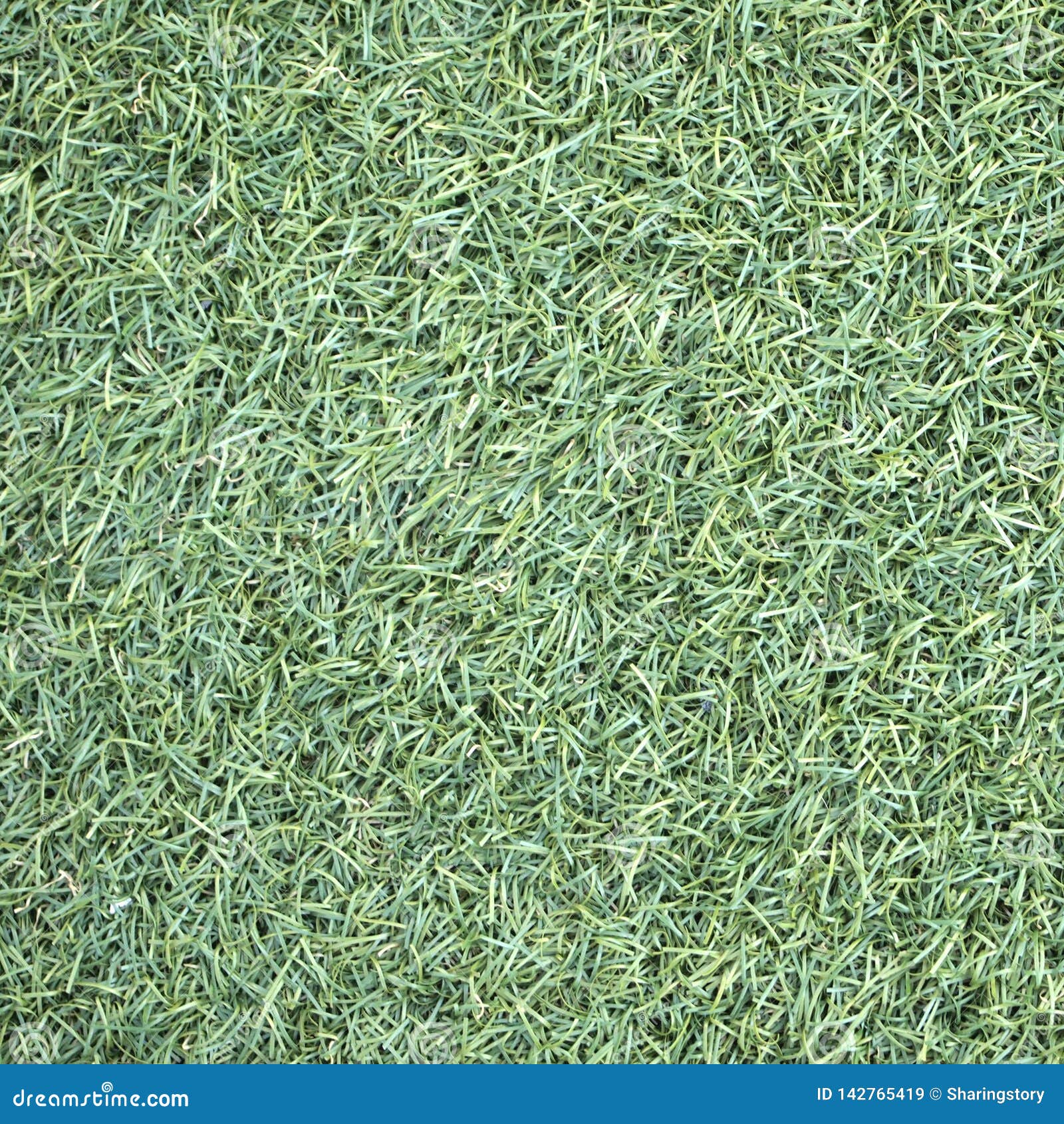Artificial Grass Field Top View Texture Stock Image - Image of floor ...