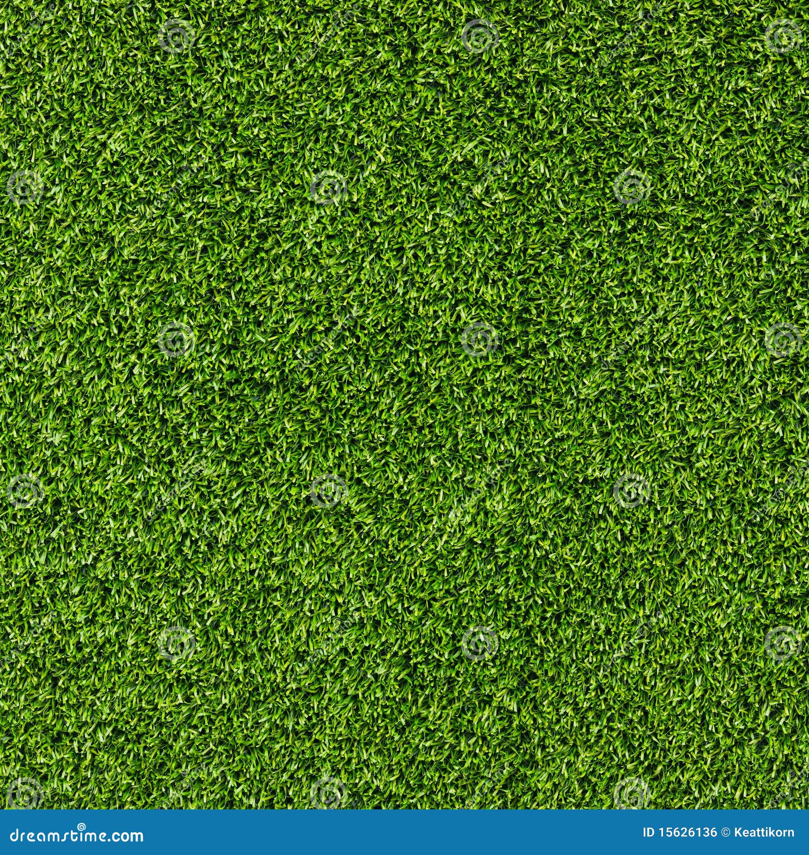 Grassy Field Top View
