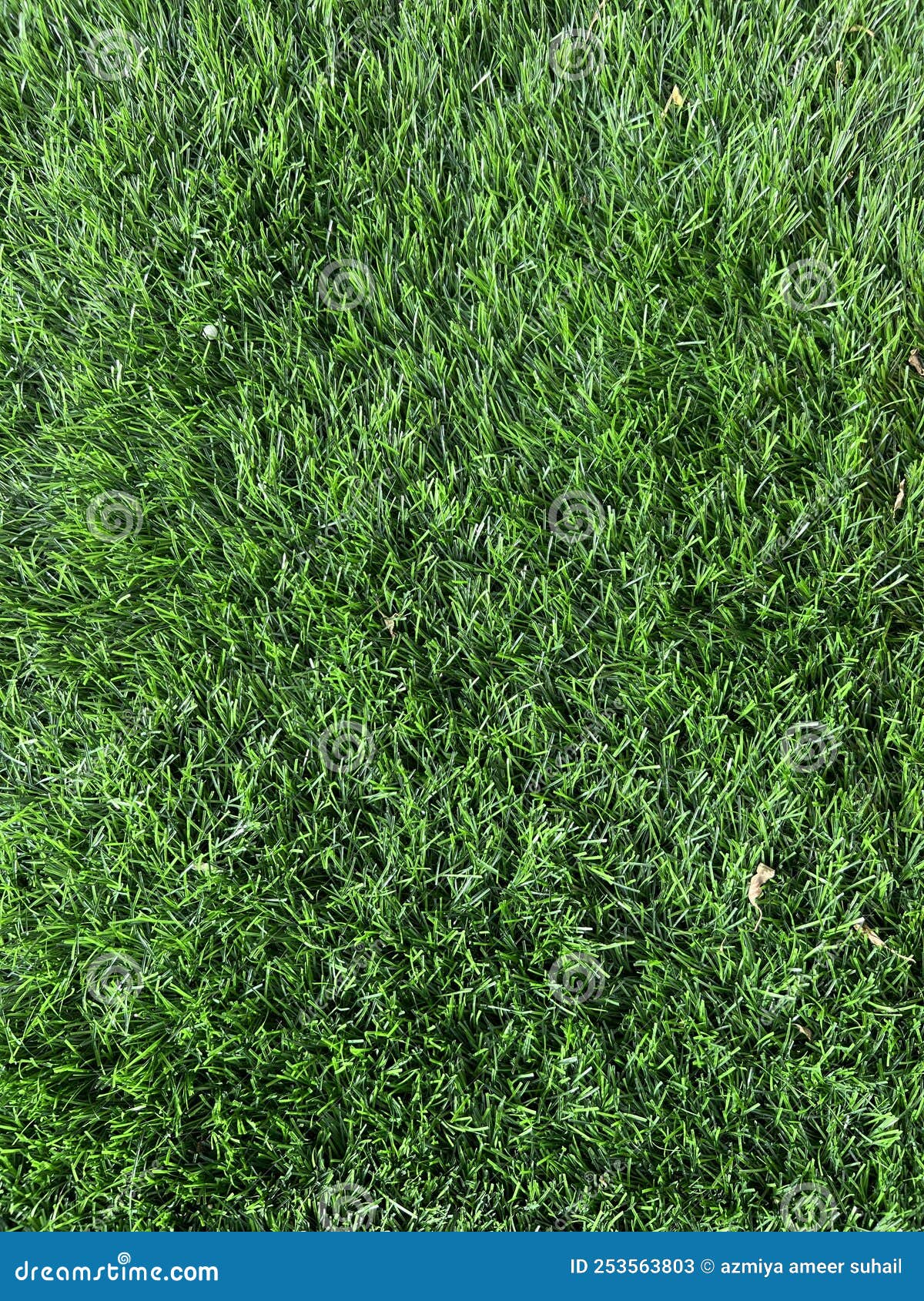 Artificial grass floor mat stock image. Image of outdoor - 253563803