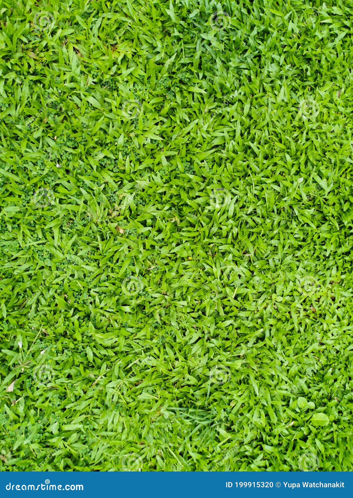 Artificial Grass Lawn Texture. Artificial Turf Background Stock Photo ...