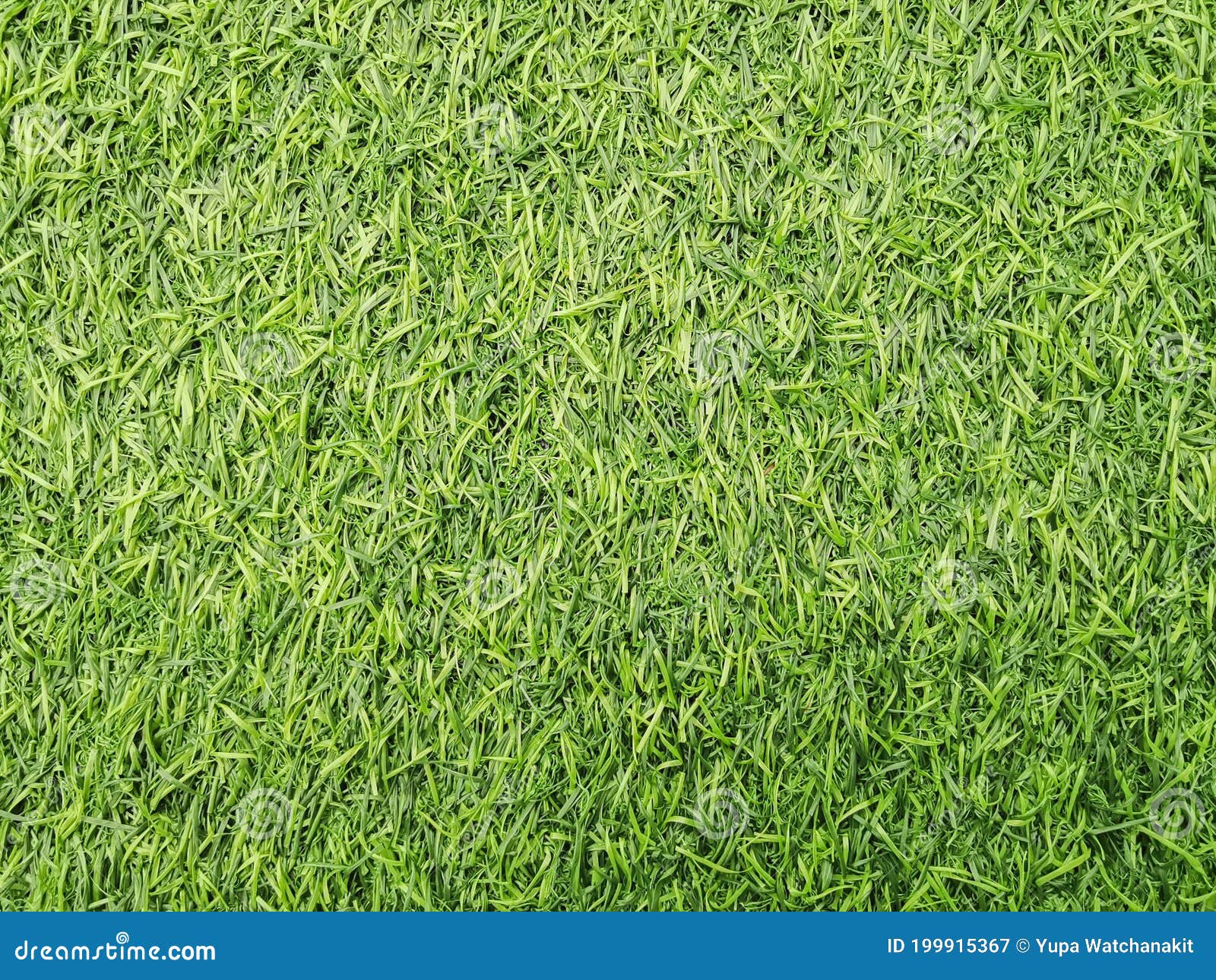 Artificial Grass Lawn Texture. Artificial Turf Background Stock Image ...
