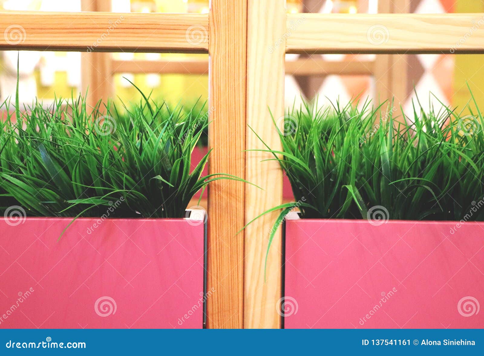 Artificial Grass in Pink Pots. Interior of the Restaurant, Cafe Stock ...