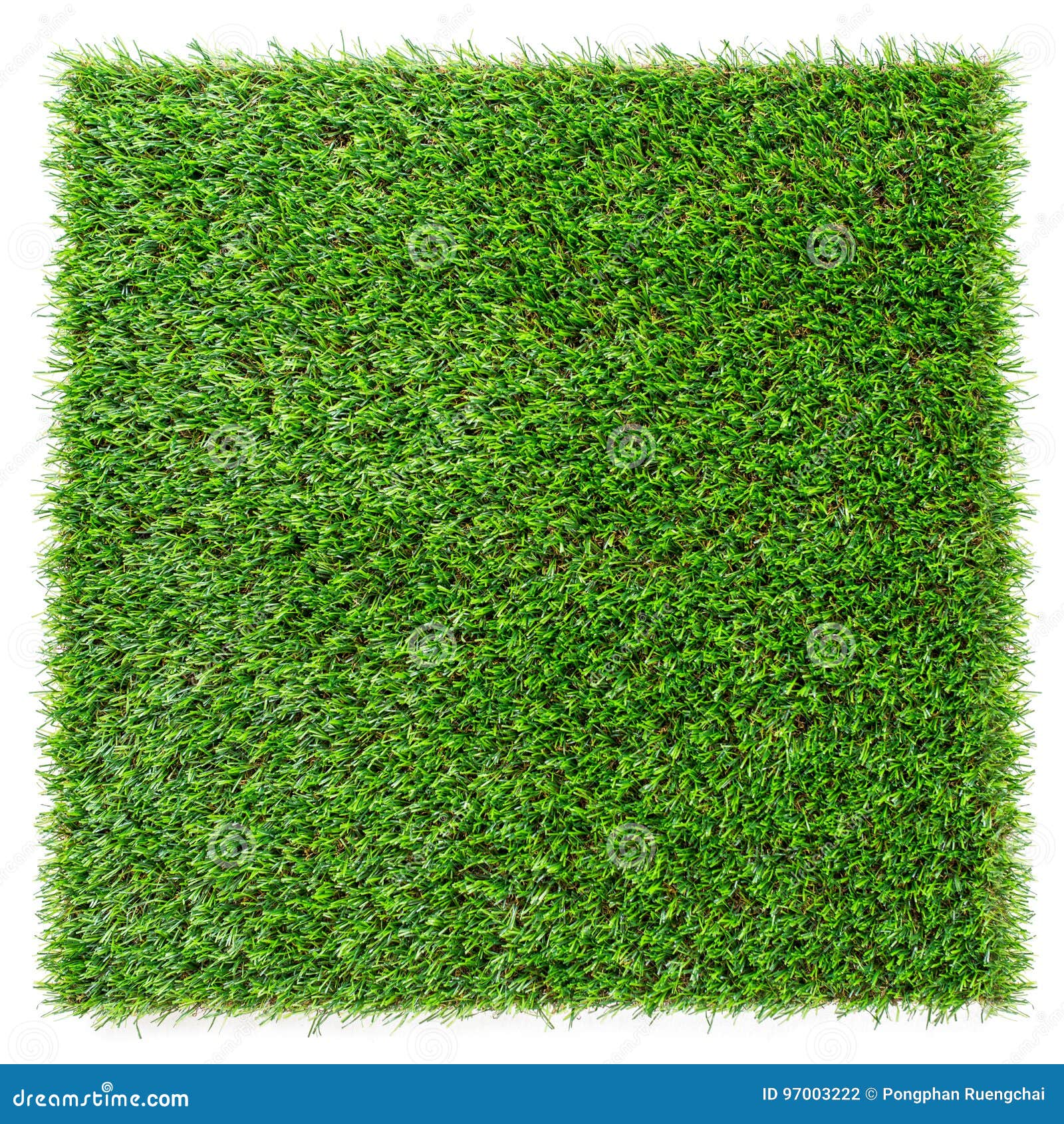 Artificial grass plate stock photo. Image of floor, carpet - 97003222