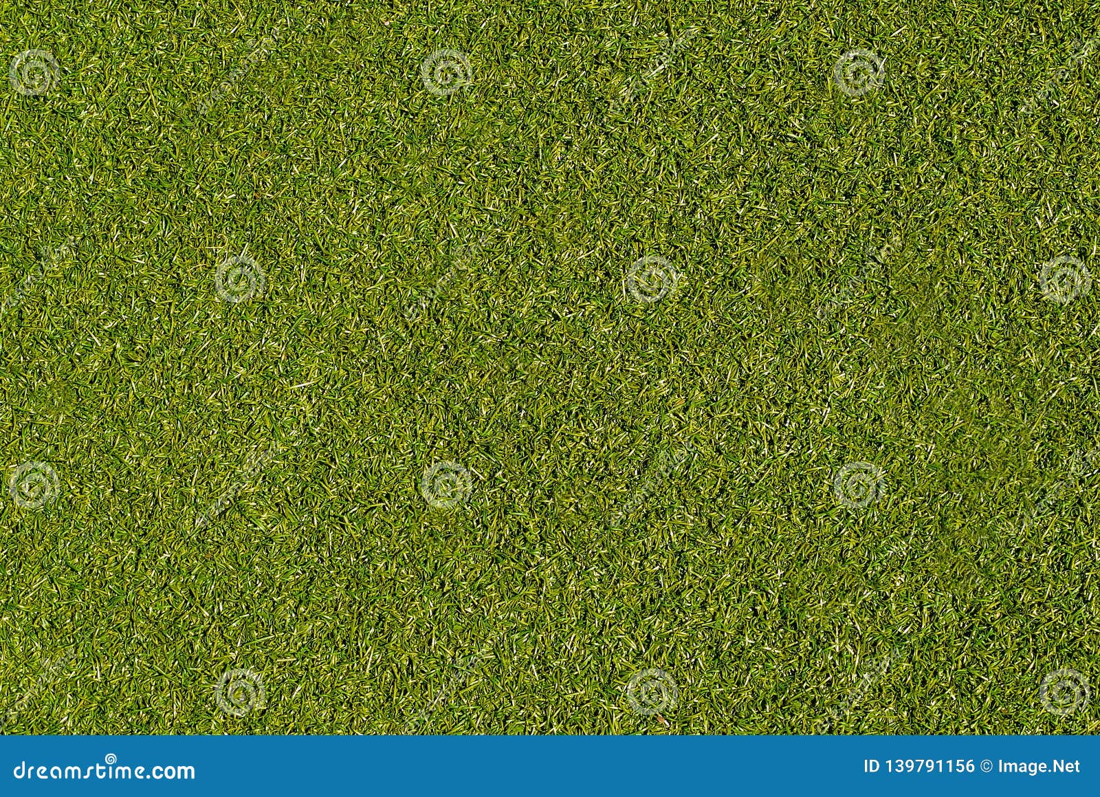 Artificial Grass Seamless Field Texture Background. Stock Photo - Image ...