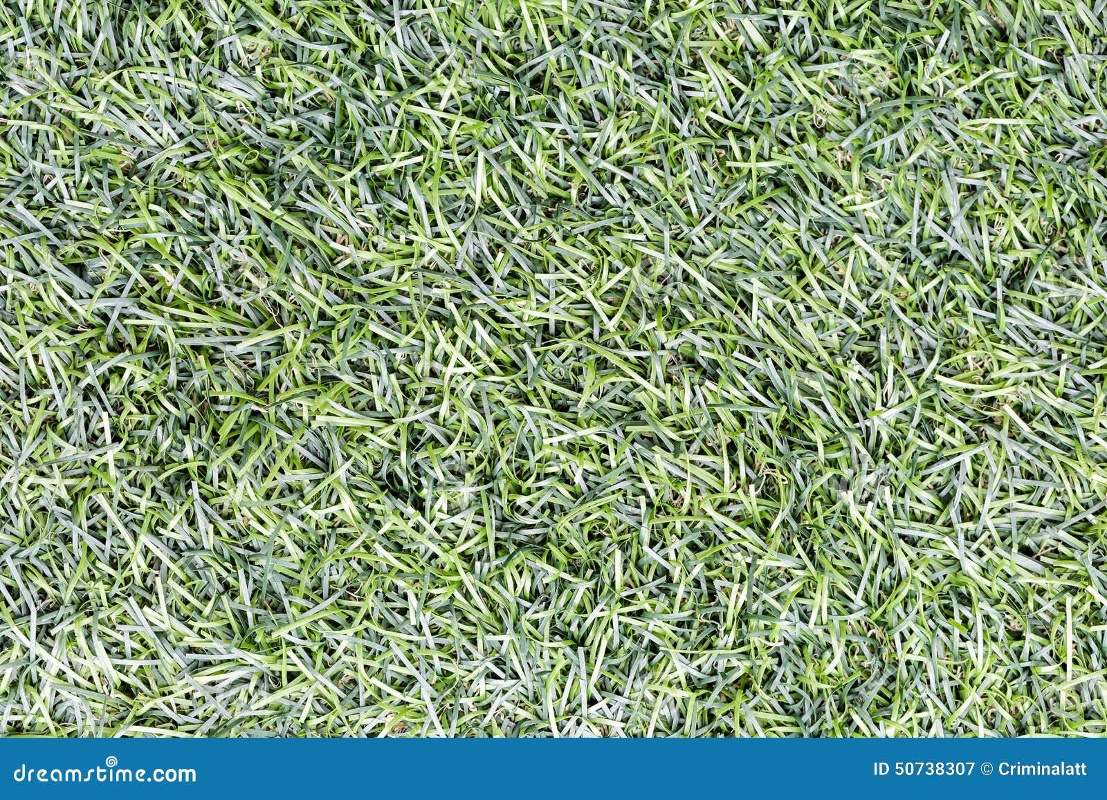 Artificial Grass Surface Texture Stock Image - Image of synthetic ...