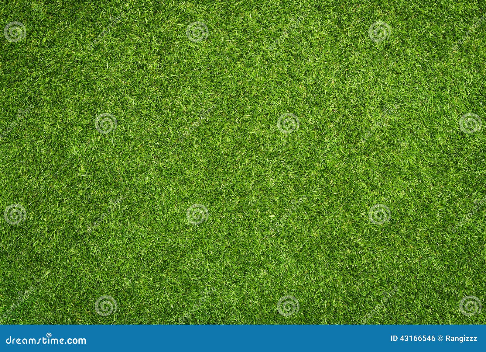 Artificial grass texture stock photo. Image of background - 43166546