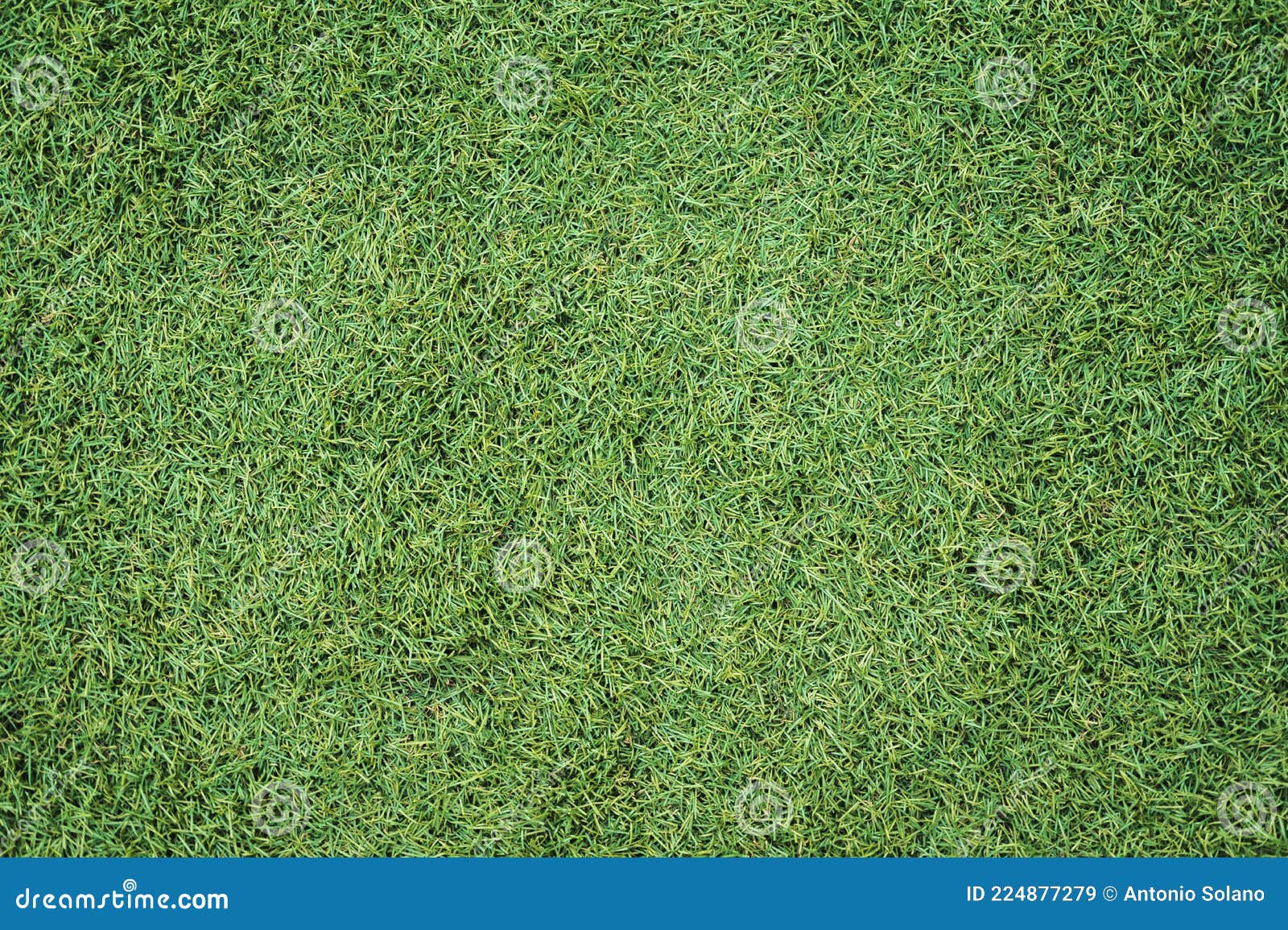 Artificial grass texture stock image. Image of color - 224877279