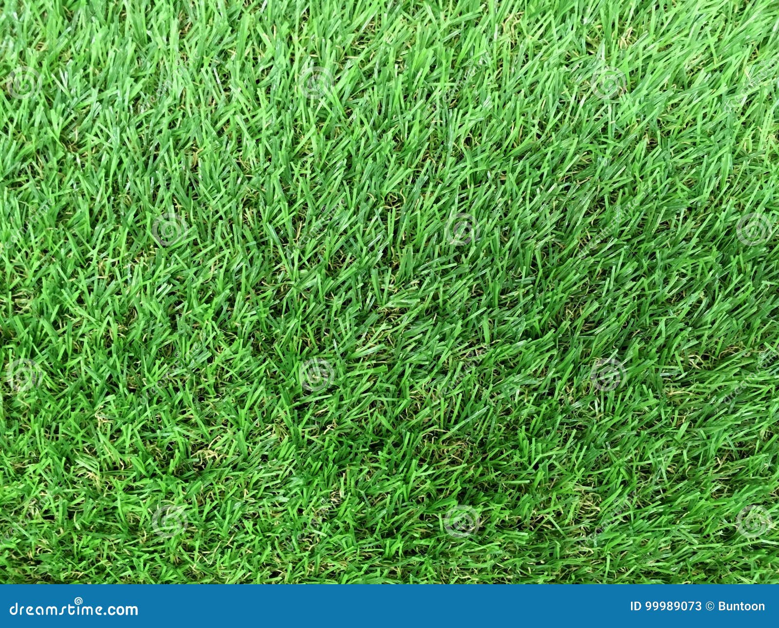 Artificial grass texture stock image. Image of garden - 99989073