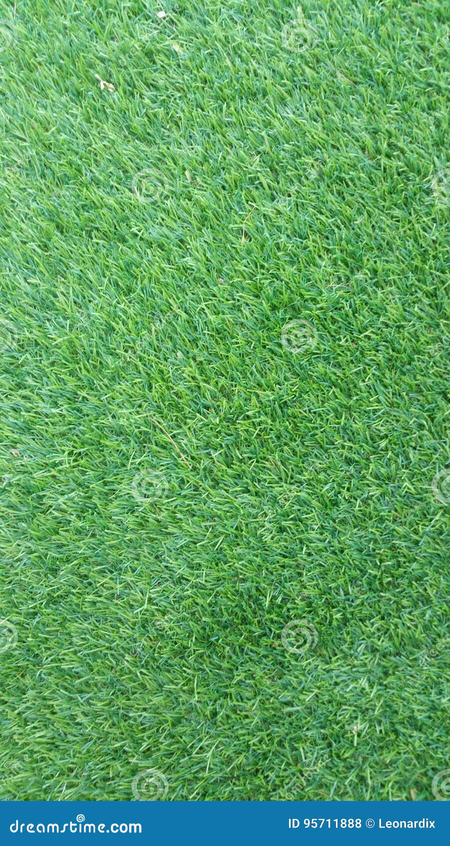 Artificial grass texture stock photo. Image of green - 95711888