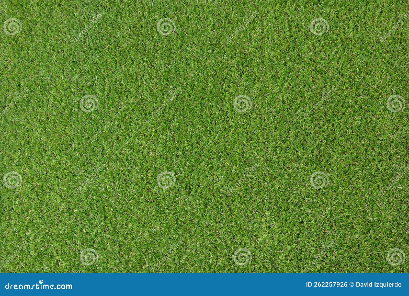 Artificial Grass Texture Top View Stock Photo - Image of design ...