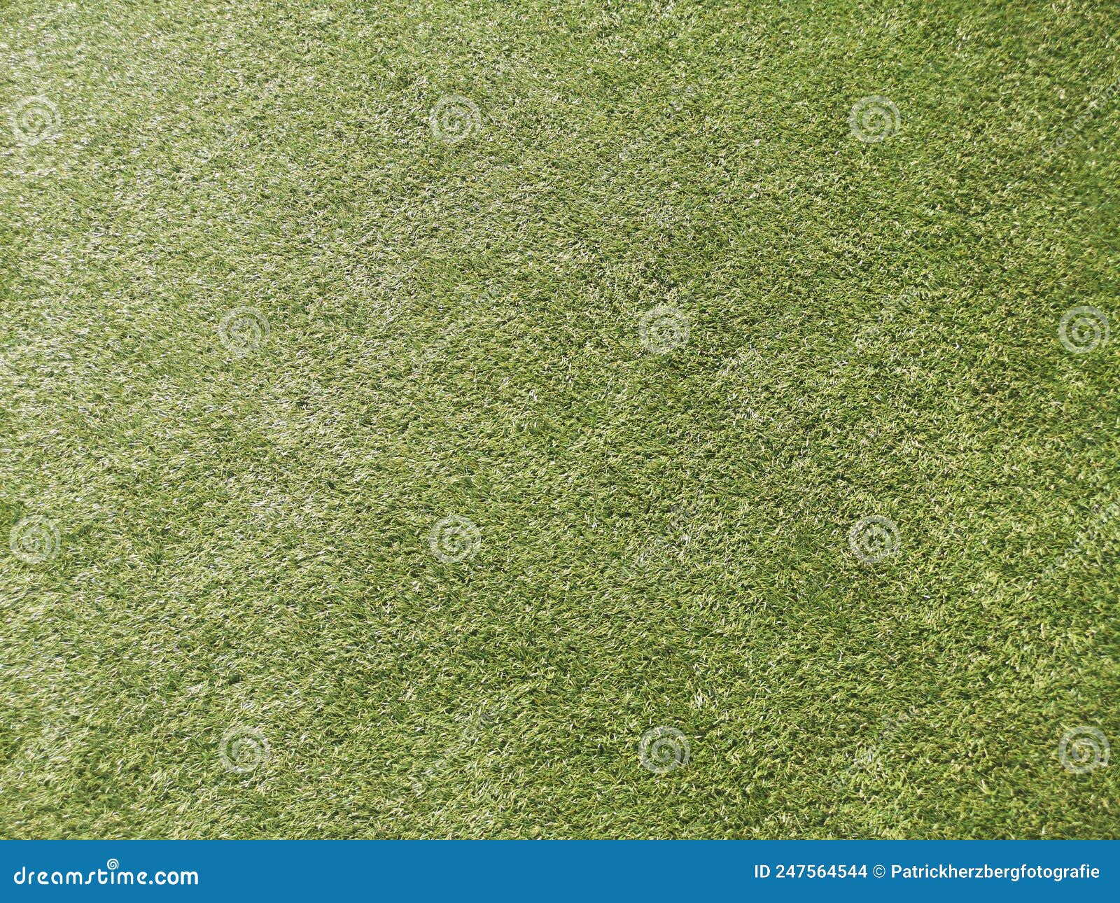 Artificial grass , topview stock photo. Image of garden - 247564544
