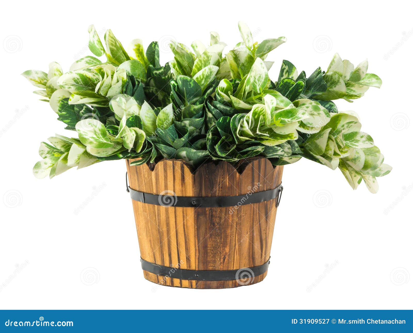 Artificial Green Branches in Wood Bucket Stock Image - Image of ...