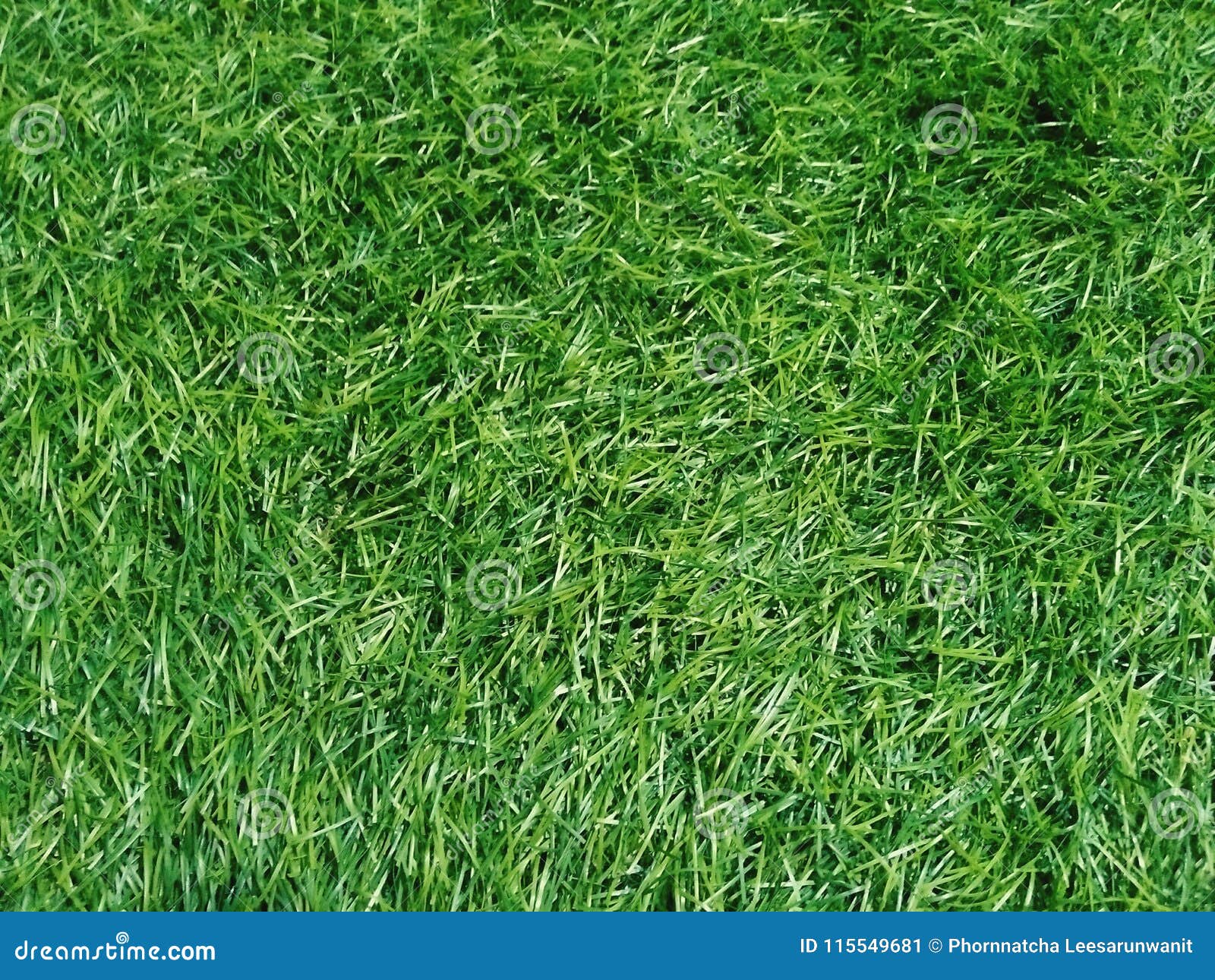 Truf Background Stock Photos - Free & Royalty-Free Stock Photos from ...