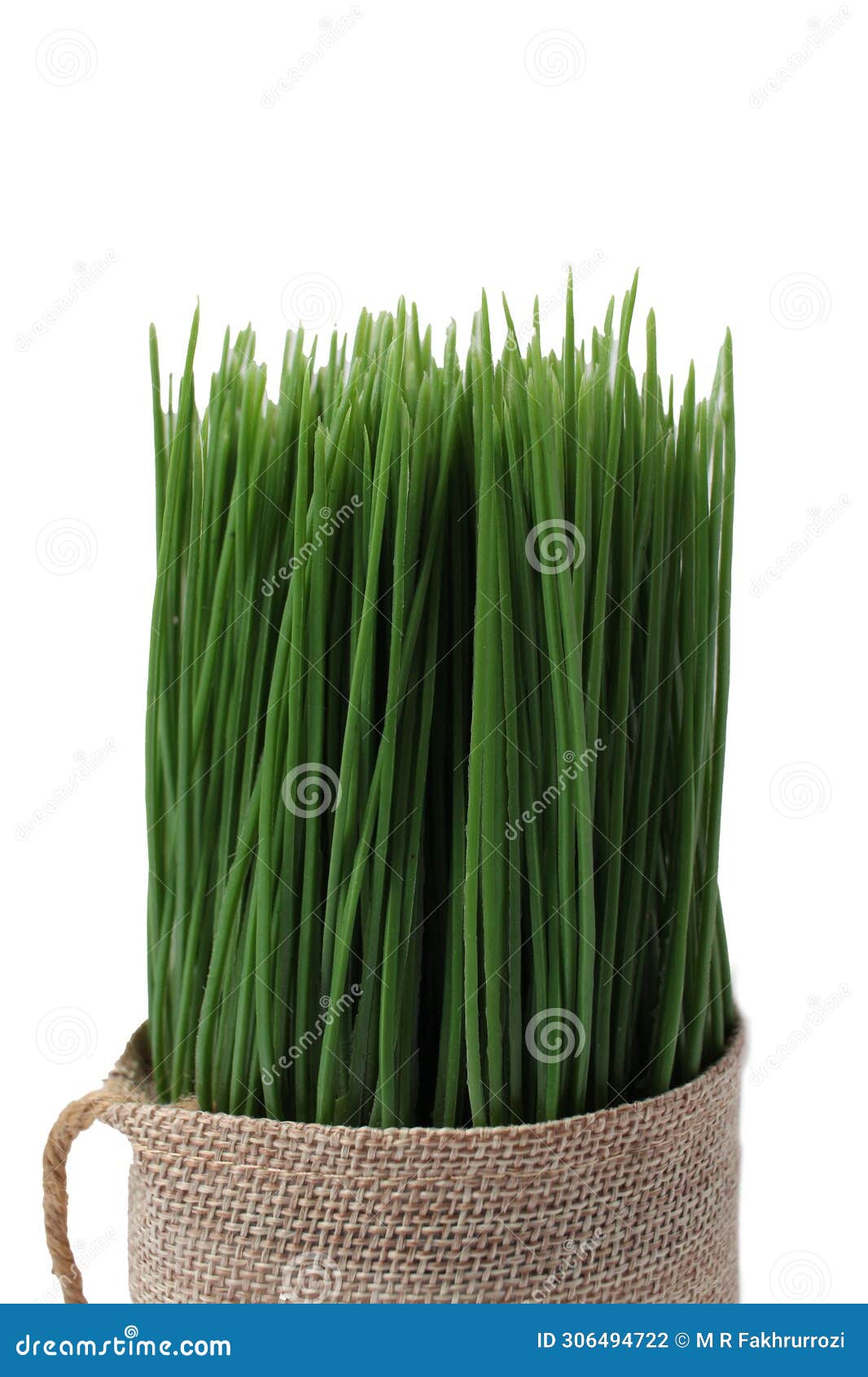 Artificial Green Grass, Cut Out Isolated Stock Photo - Image of field ...