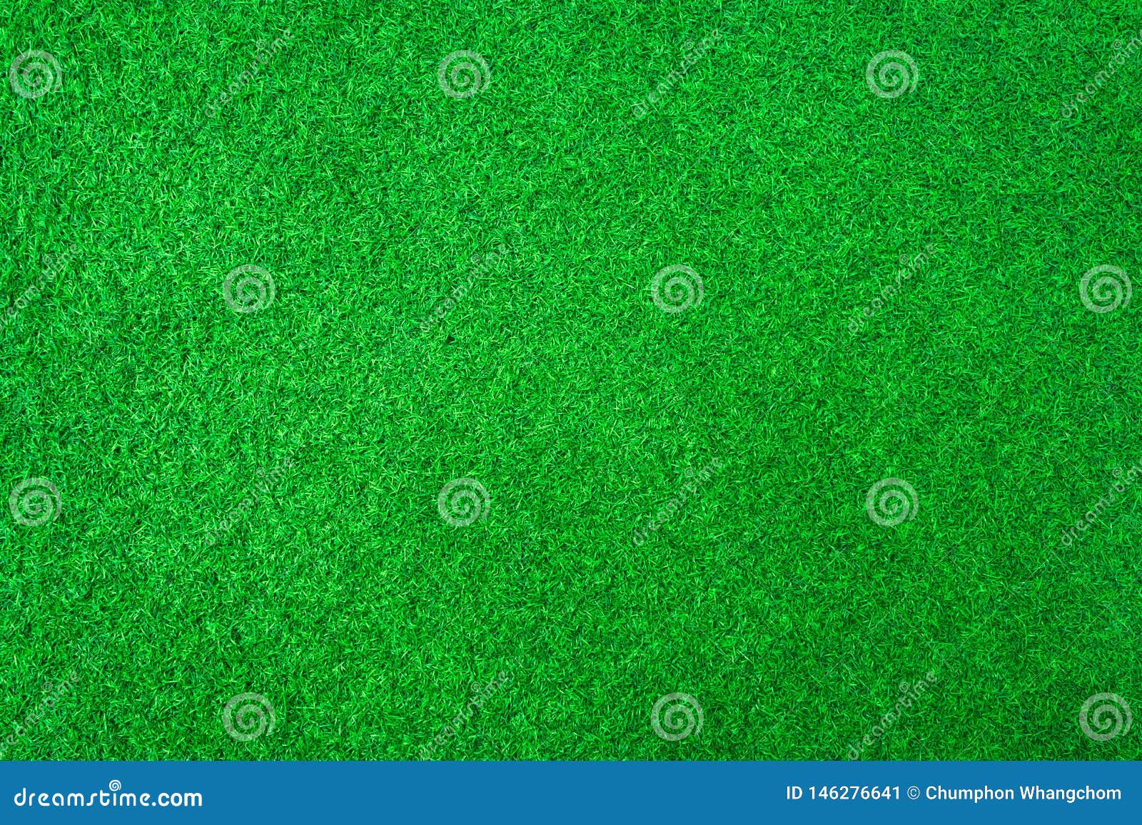 Texture Of Green Grass Field Background, Green Grass Texture, Min Tree ...