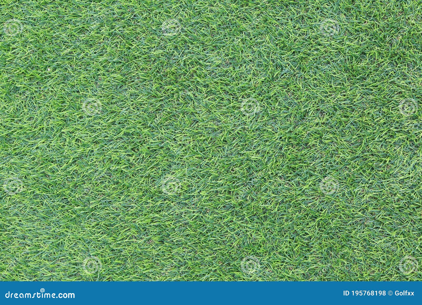 Artificial Green Grass Texture Background Stock Photo - Image of floor ...