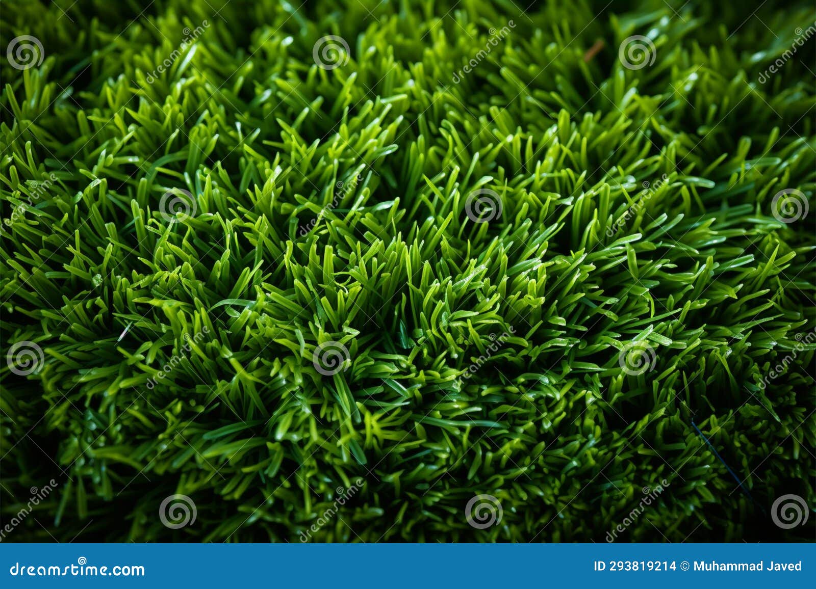Artificial Green Grass Texture, a Vibrant Backdrop for Creative ...