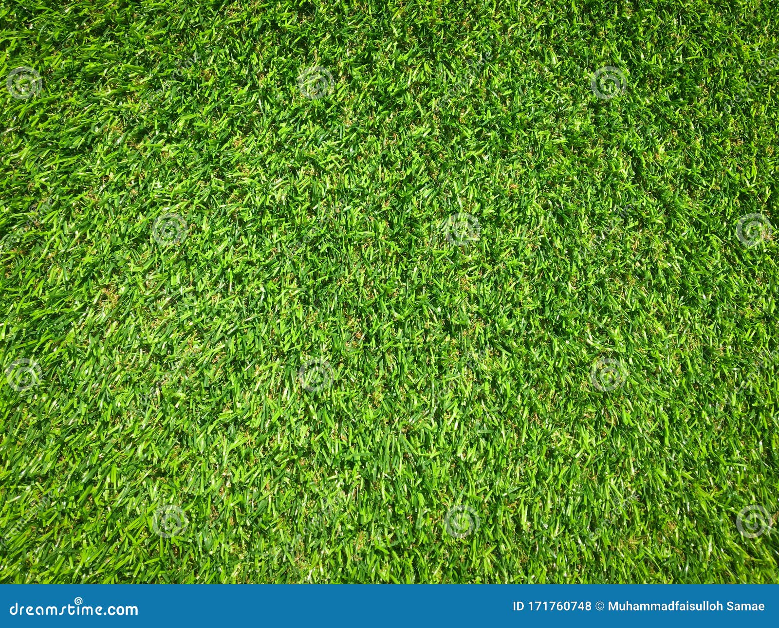 Artificial Green Lawn Backyard for Background. Texture for Design Stock ...
