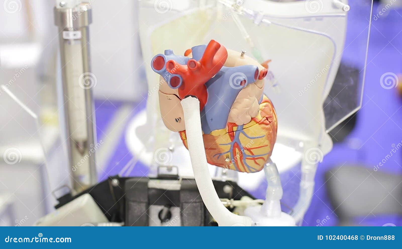 Artificial Heart As a Showpiece Stock Footage - Video of abstract ...