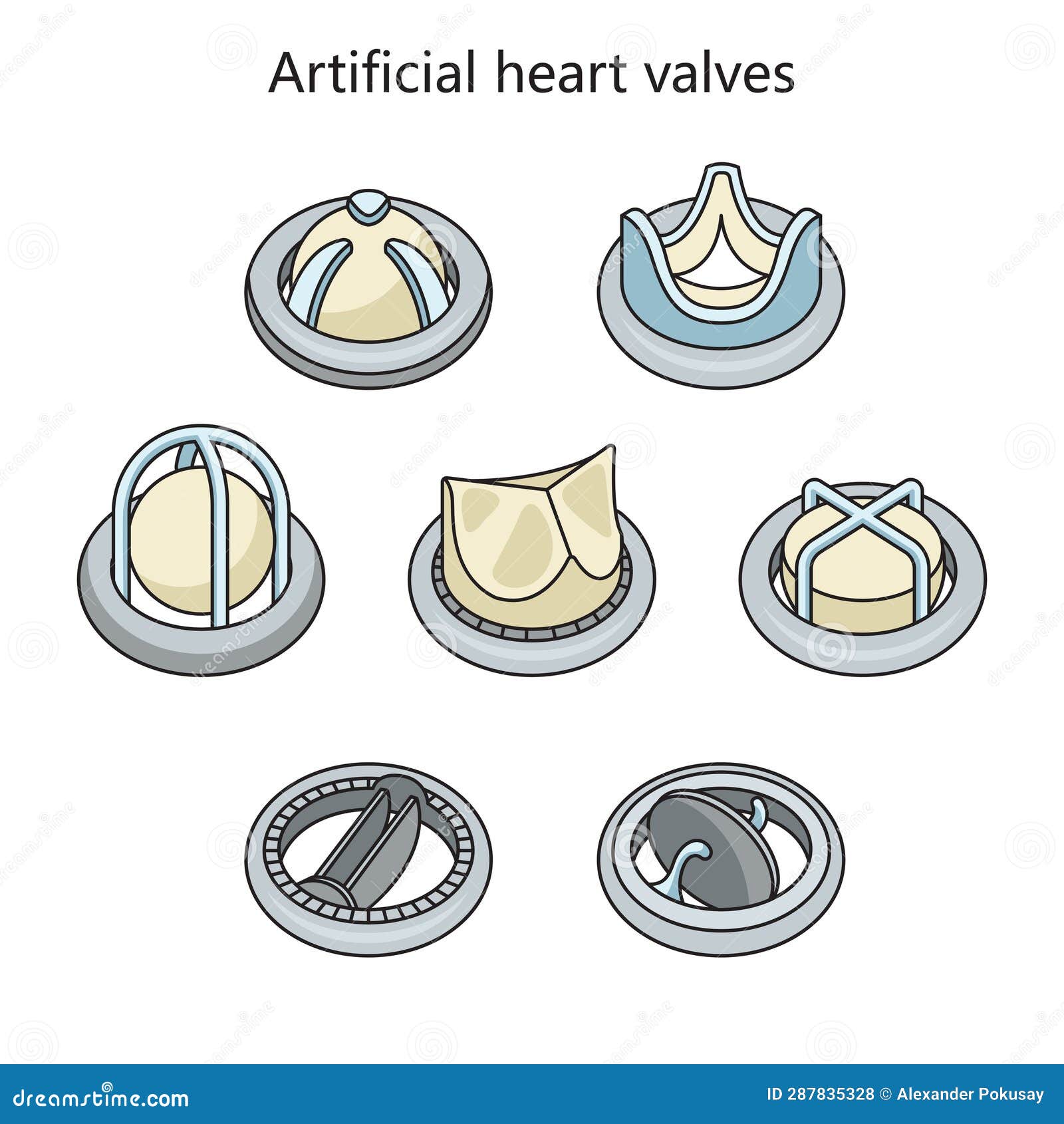 Artificial Heart Valves Medical Science Stock Illustration ... Artificial Heart Valves Medical Science Stock Illustration ...