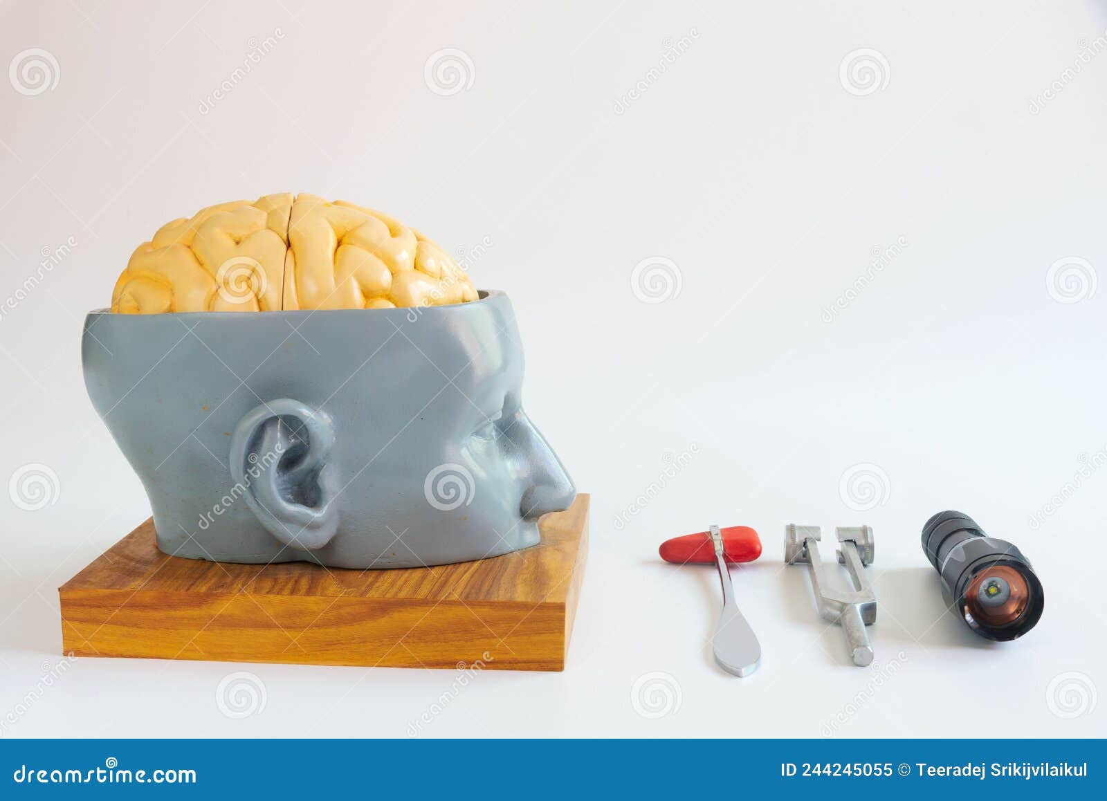 Neurological Instruments In Medical Office Royalty-Free Stock Image ...