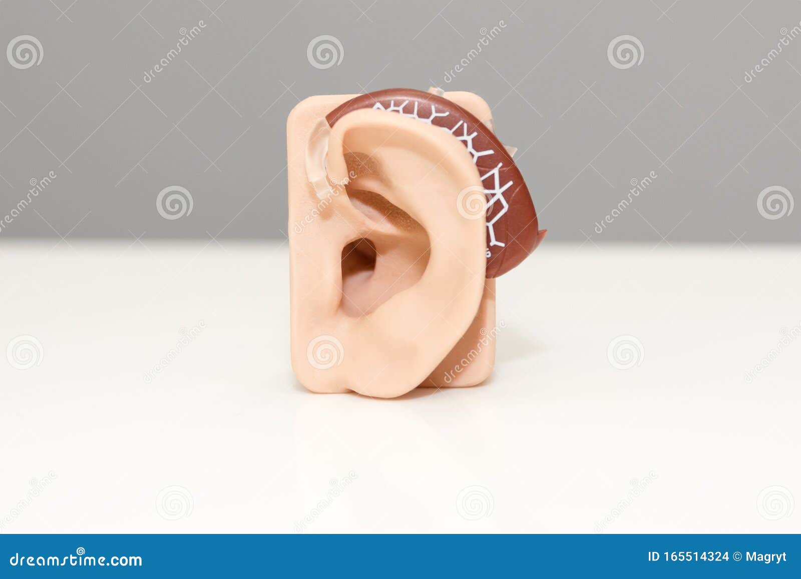 Artificial Human Ear Model With Hearing Aid On White Table. Plastic Ear ...