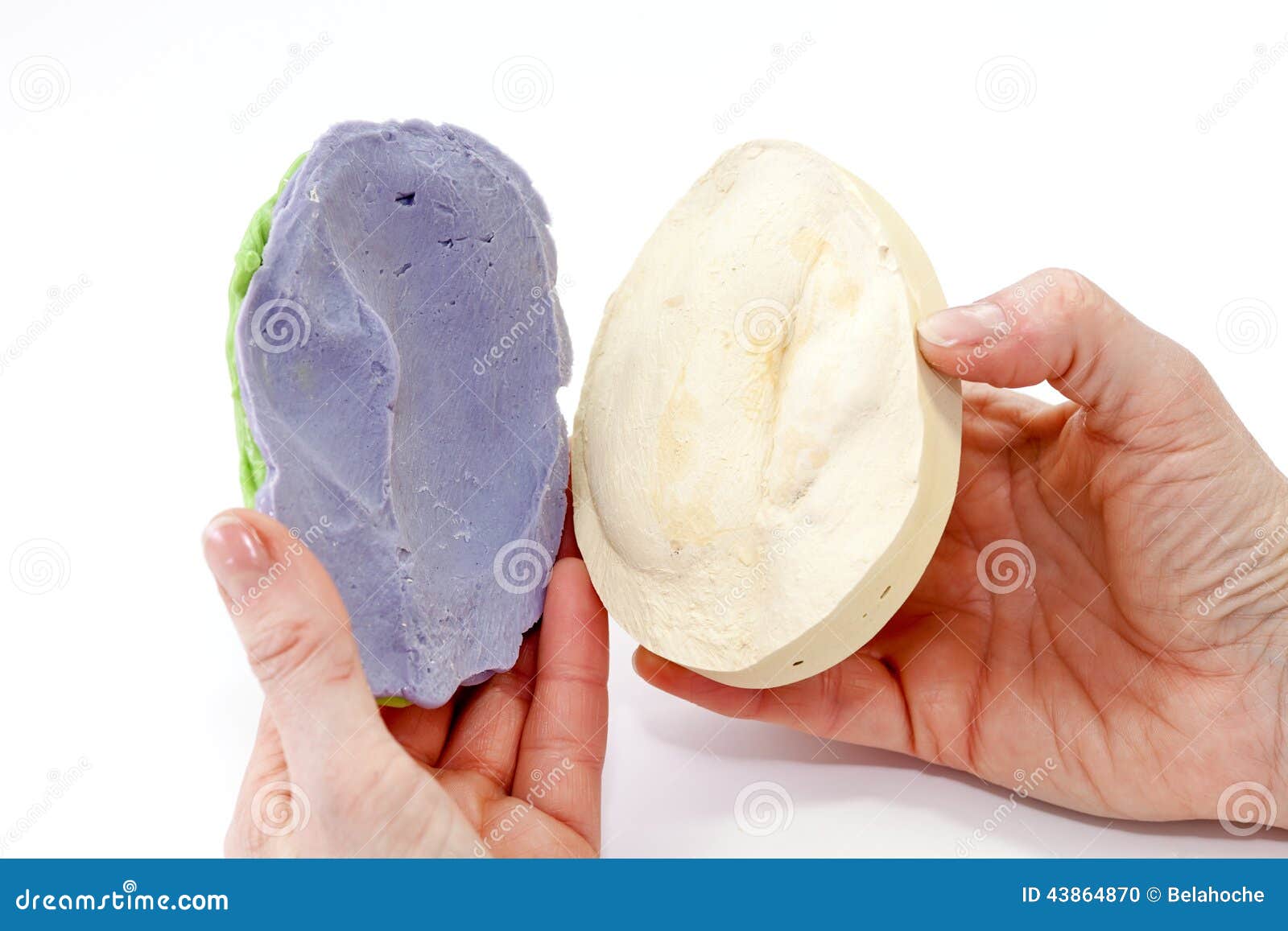 Artificial Human Ear Negative Plaster Form. Stock Photo - Image of cast ...