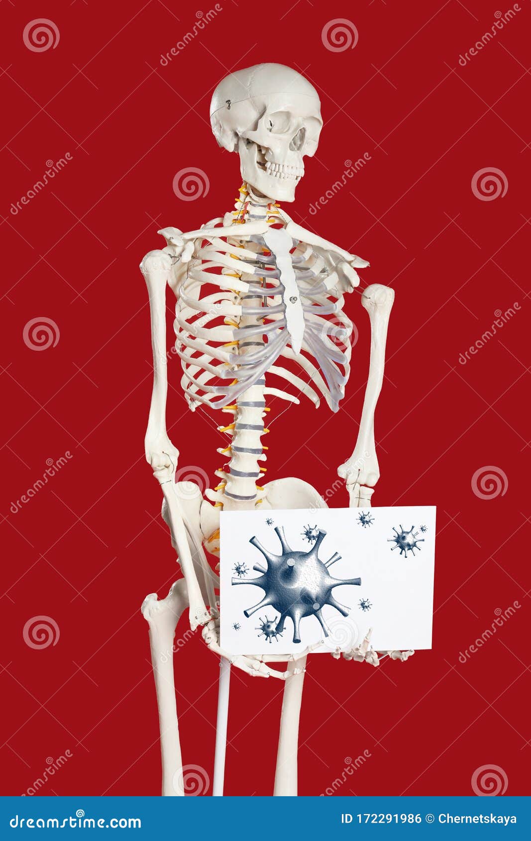 Artificial Human Skeleton with Illustration of Virus on Background ...
