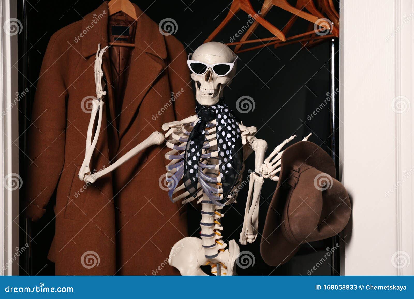Artificial Human Skeleton Model among Clothes Stock Image - Image of ...