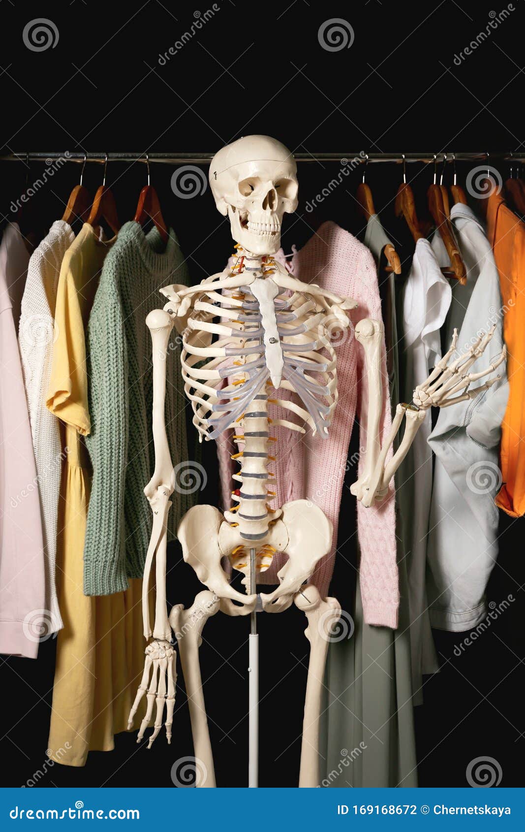 Artificial Human Skeleton Model among Clothes Stock Photo - Image of ...