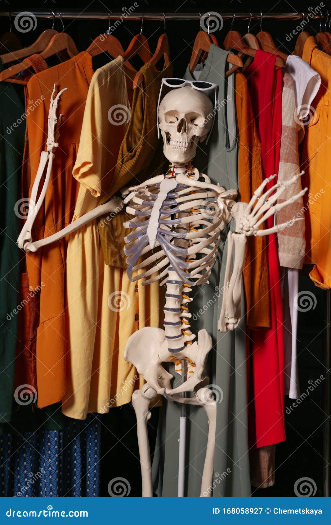 Artificial Human Skeleton Model among Clothes Stock Image - Image of ...