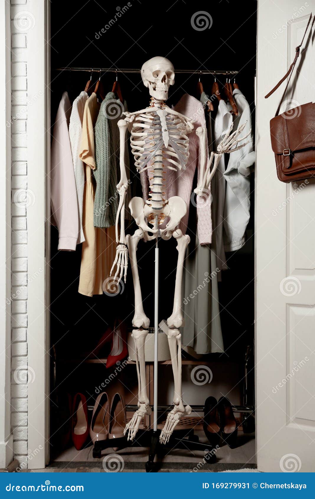 Artificial Human Skeleton Model among Clothes in Wardrobe Stock Image ...