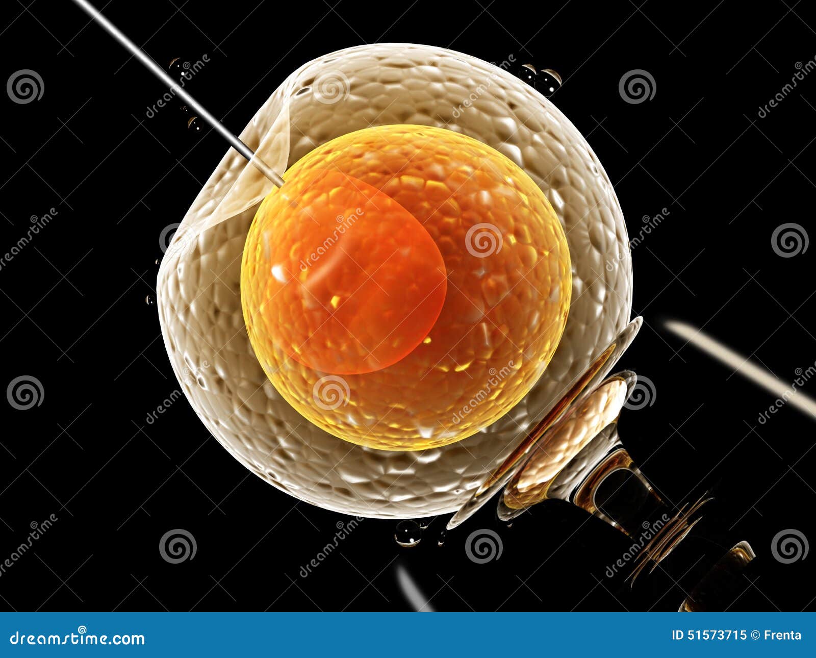 Artificial insemination stock illustration. Illustration of experiment ...