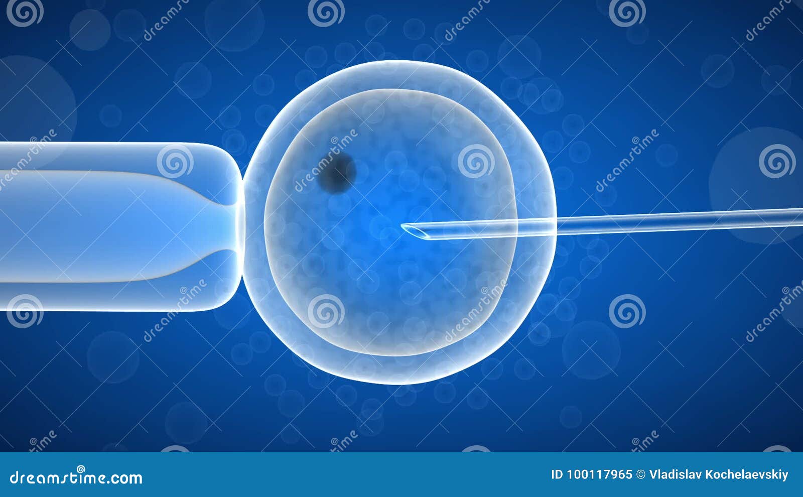 Artificial Insemination of a Female Egg. Stock Video - Video of ...