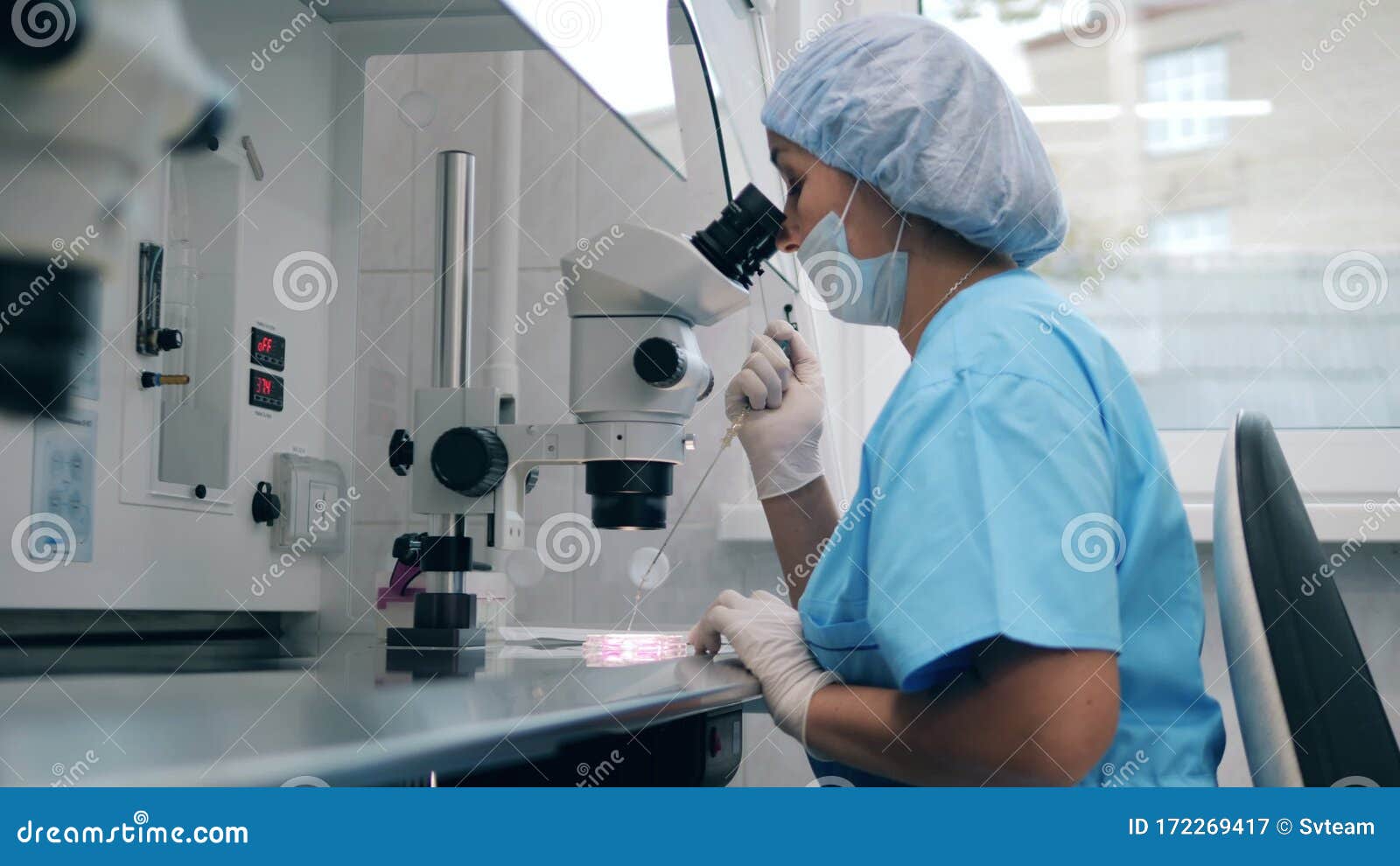 Artificial Insemination in a Modern Medical Laboratory. Laboratory ...