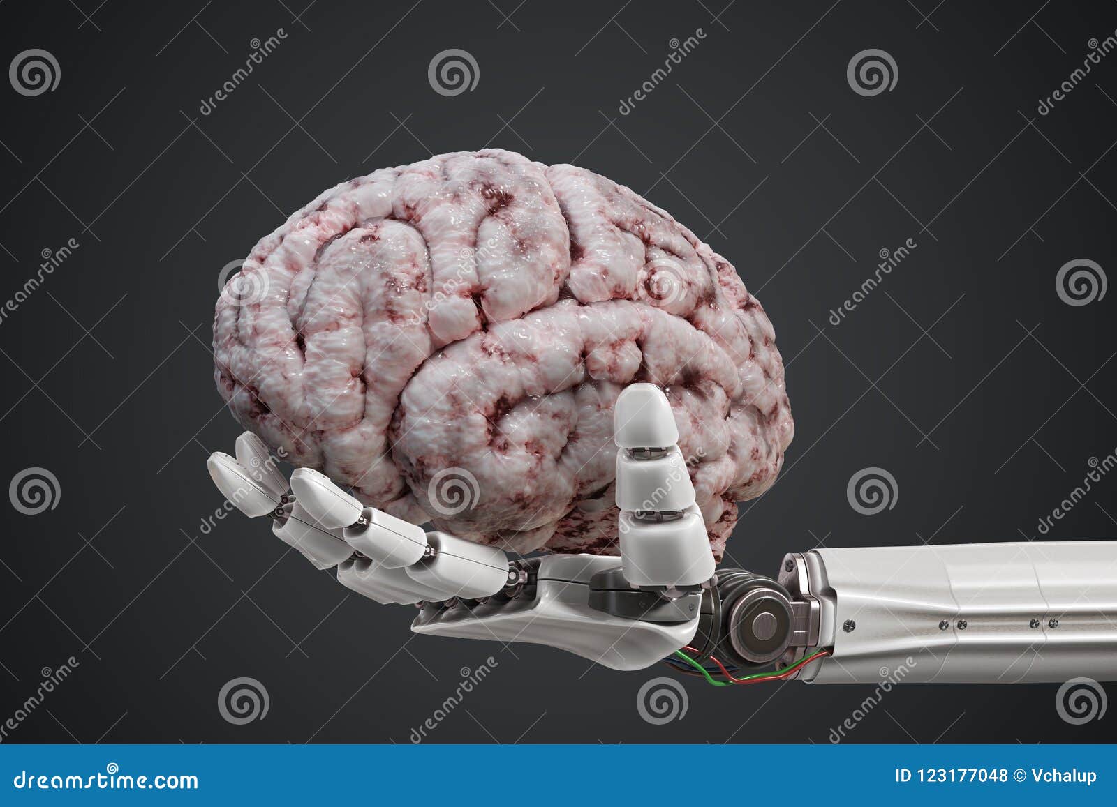 Artificial Intelligence Concept. Robotic Hand is Holding Human Brain ...