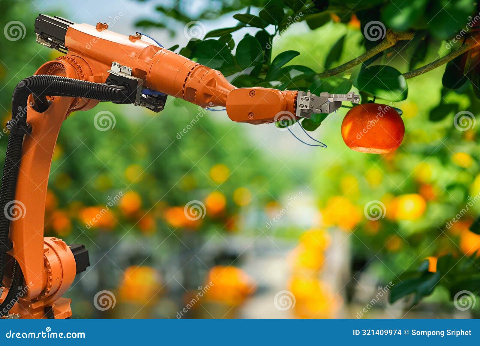 Artificial Intelligence Fruit Picking Robots Agriculture Stock ... Artificial Intelligence Fruit Picking Robots Agriculture Stock ...