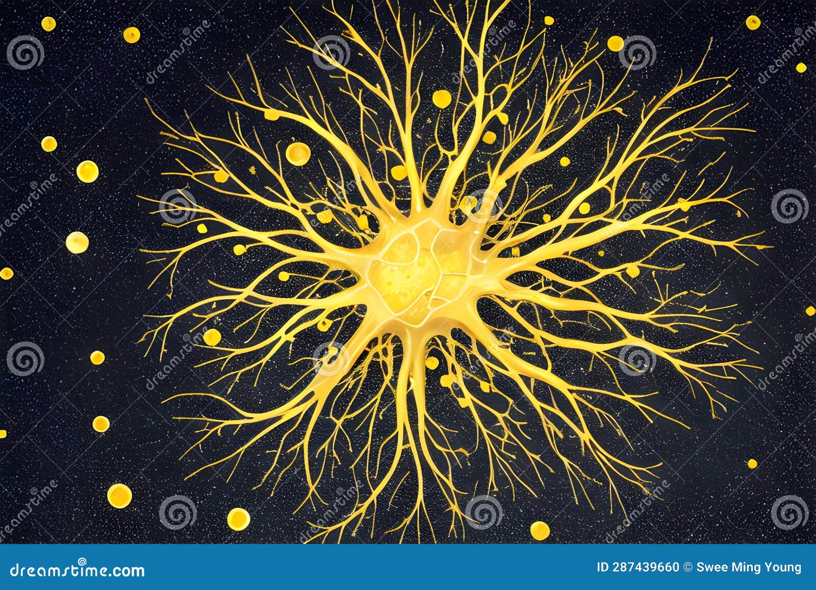A Cluster of Neuron Floats and Branches Out with Axons and Dendrites of ...